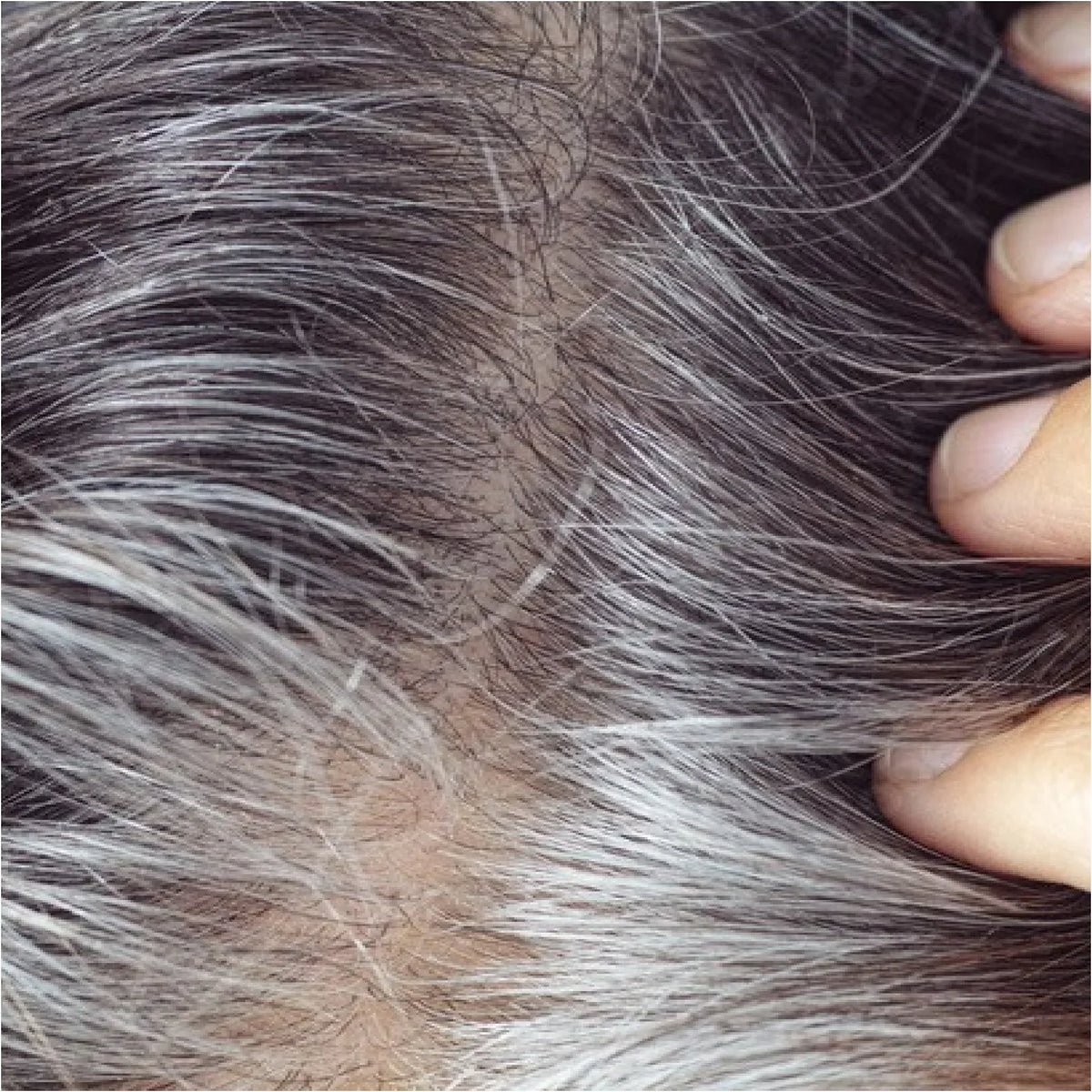 Navigating Menopause: Nurturing Your Hair's Health and Vitality ...
